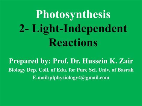 Light Independent React Pptx