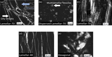 Light Microscopy Cross Polarized Of 70 Wt Sle1s Lamellar 70 Sample Download Scientific
