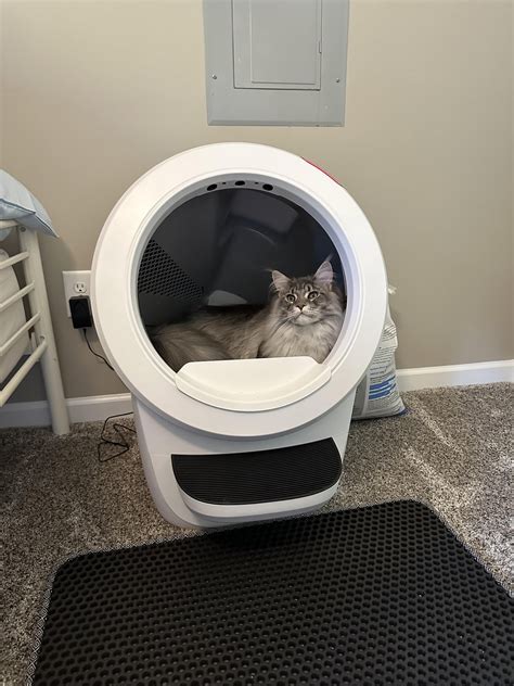 Littler Robot Issue Fix Rlitterrobot