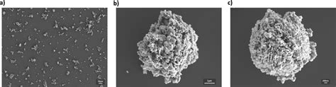Merlin Compact Feg‐sem Images Show Detailed Crystalline Surface