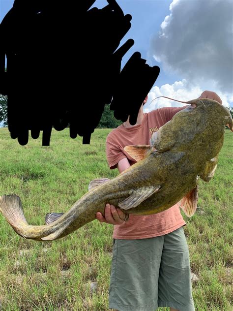 Solid Flathead Rcatfishing