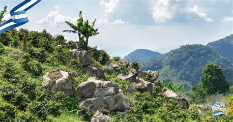 Reserva Biológica El Chiflador Espaciohonduras