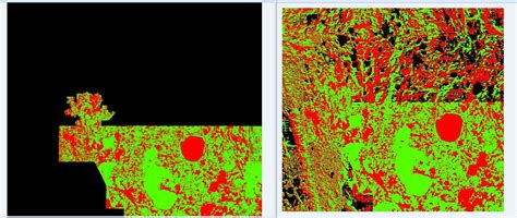 ArcGIS Imagery Analysis Difference Raster Errors Geographic Information Systems Stack Exchange