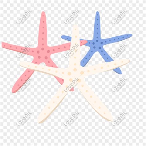 49 Bintang Laut Kartun Png Gambar Keren Hits Images