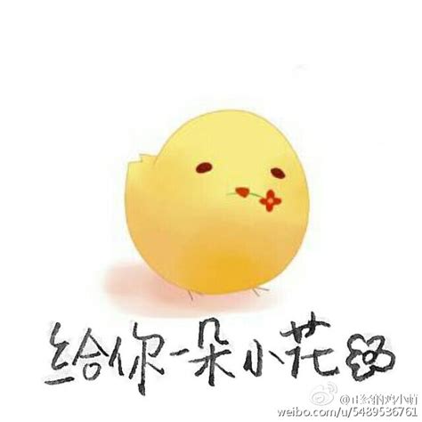 剑三萌鸡表情包 剑三黄鸡大笑表情包 伤感说说吧