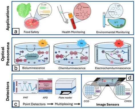 Optical Image Sensors For Smart Analytical Chemiluminescence Biosensors
