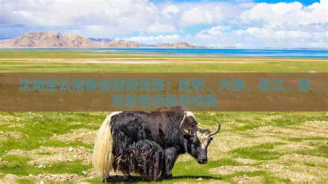 沈阳至云南精品旅游线路：昆明、大理、丽江、西双版纳深度游攻略 旅游景点