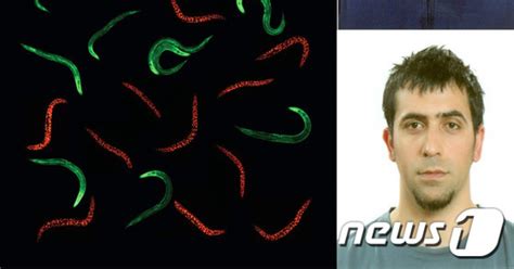 음식 맛·냄새가 인간 수명 좌우포스텍 연구팀