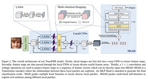 learning relation aware facial expression representations with