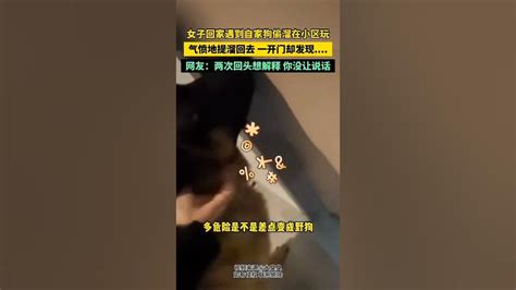 女子回家遇到自家狗偷溜在小区玩，气愤地提溜回去，一开门却发现狗子：我都回头两次了，你不听我解释啊 Youtube