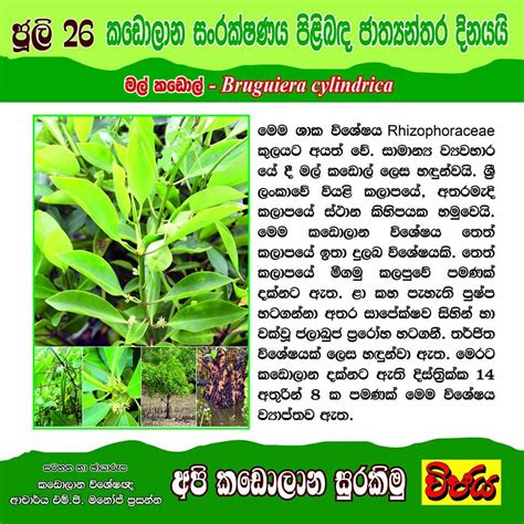 කඩොලාන සුරකිමු විජය ළමා පුවත්පත Facebook