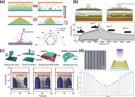 Recent Progress On Stability And Applications Of Flexible Perovskite