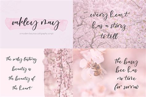 Bounce Calligraphy Font Bundle Masterbundles