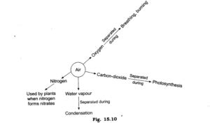 NCERT Solutions For Class Science Chapter Air Around Us