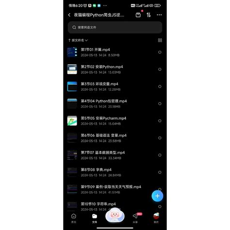 夜猫编程python爬虫js逆向进阶课 Taobao Singapore