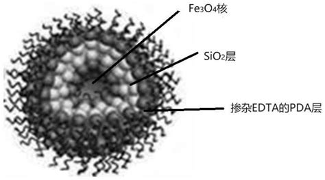 一种fe3o4sio2edta Pda磁性纳米材料的制备方法及应用与流程