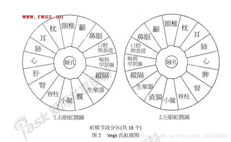 【虹膜识别】【开源代码】虹膜识别 步骤讲解及算法复现，虹膜表征：基于虹膜反映点的健康监测虹膜识别算法 Csdn博客