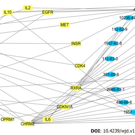 Critical Pathway Target Component Network Relationship Diagram Of Ruyi
