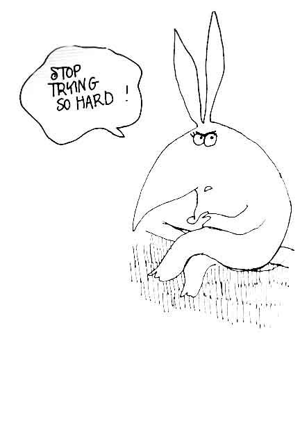 Anteater Wisdom Inktales