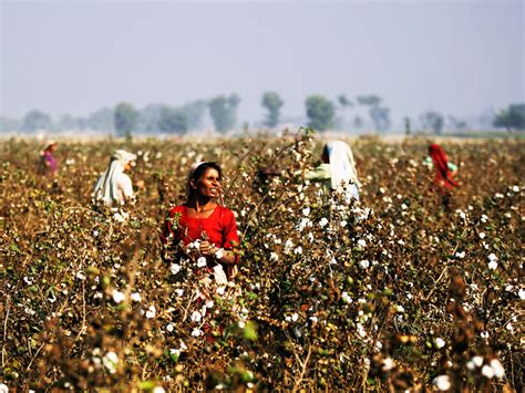 Okara Village Says Hello Pakistan Dawncom
