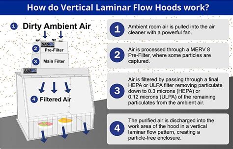 Vertical Laminar Flow Hood Sentry Air Systems
