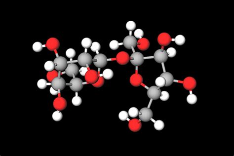 D Model Of Sucrose American Chemical Society