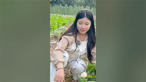 สาวลาว น้องลี สาวโสด ชอบหนุ่มไทย ไม่จำกัดอายุ แขวงบ่อลิคำไซ บ่าวเดชนครพนม พาเลาะพาเที่ยว