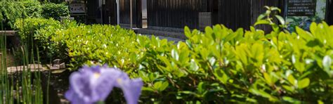 Moa Museum Of Art Shizuoka Klook