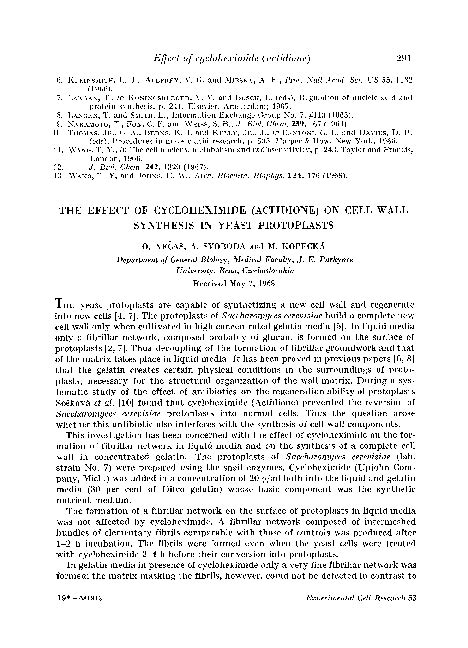 Pdf The Effect Of Cycloheximide Actidione On Cell Wall Synthesis In