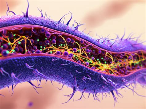 鳞癌怎么判断是早期还是晚期 鳞癌 鳞状细胞癌 肿瘤疾病大全癌症肿瘤科普知识 有来医生