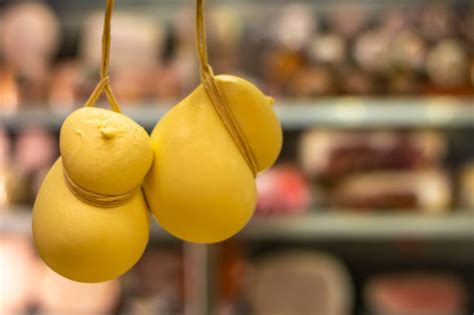 1600개 이상의 Scamorza 이미지 스톡 사진 그림 및 Royalty Free 이미지 Istock