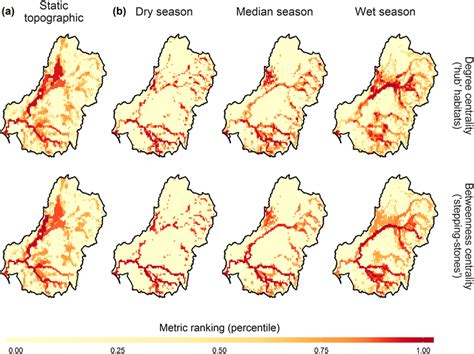 Comparison Of The Spatial Distribution Of Local Degree And Betweenness