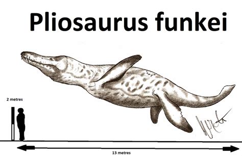 Pliosaurus Funkei By Teratophoneus On Deviantart