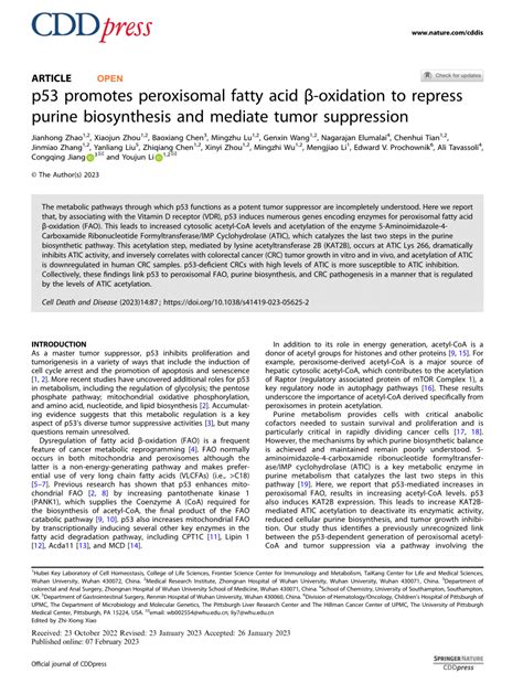 Pdf P53 Promotes Peroxisomal Fatty Acid β Oxidation To Repress Purine