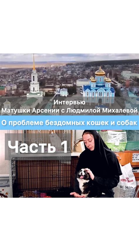 Найди друга приюти монастырских котят Малютка так трогательна и