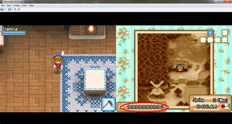 How To Put Cheats On Desmume