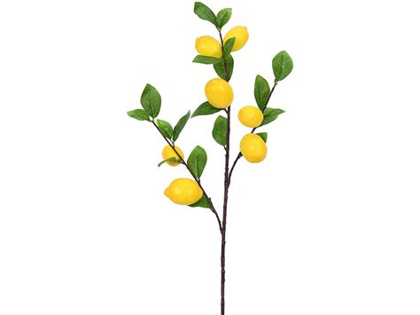 Citros Branche 90 Cm