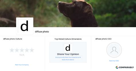 Diffuse Photo Culture Comparably