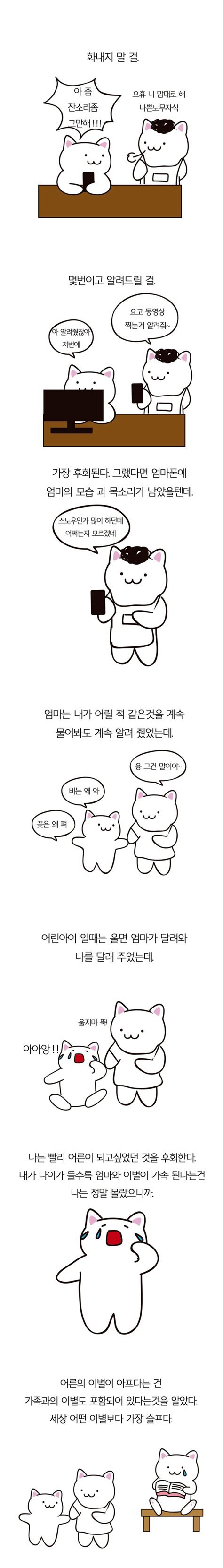 엄마가 돌아가셨다  포텐 터짐 최신순 에펨코리아