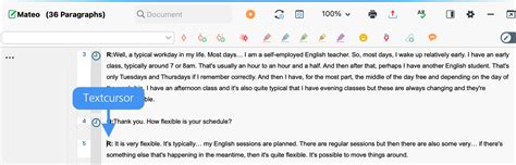 Link Transcript To Recording With Timestamps Maxqda