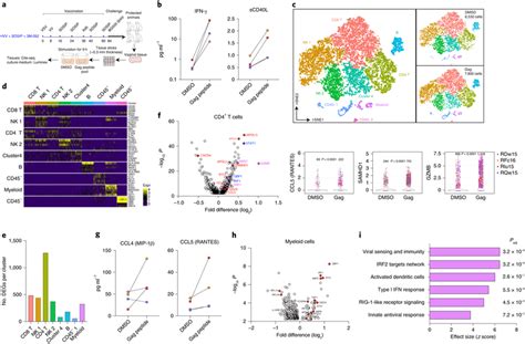 Single Cell Rna Seq Analysis Of Vaginal Tissues Stimulated Ex Vivo With