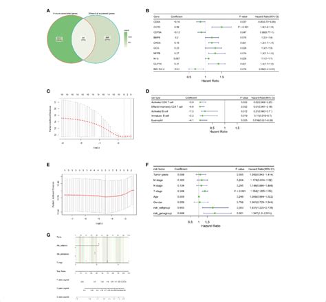 Construction Of The Prognostic Immune Clinical And Pathological Model