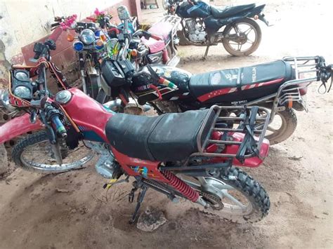 11 Suspected Thieves Arrested