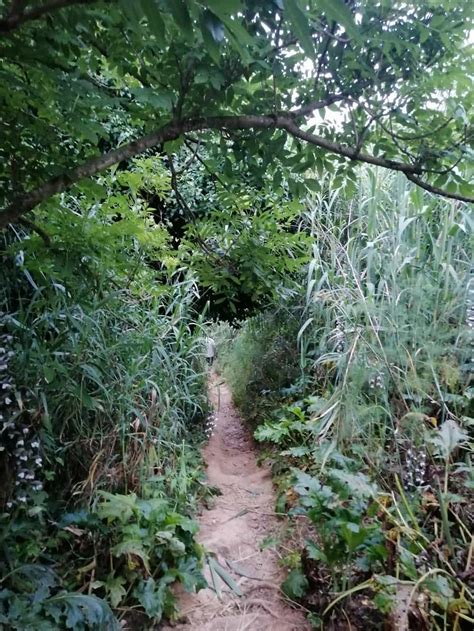 Ruta Montjuïc el primer sendero íntegramente de Barcelona BeCiNadas