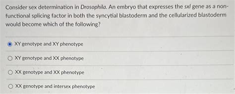 Solved Consider Sex Determination In Drosophila An Embryo