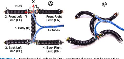 Figure 1 From Soft Steps Exploring Quadrupedal Locomotion With Modular