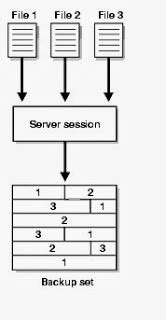 Erman Arslan S Oracle Blog Database RMAN Multiplexing