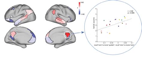 The Relationship Between The Behavioral Twist Score And Neural Download Scientific Diagram