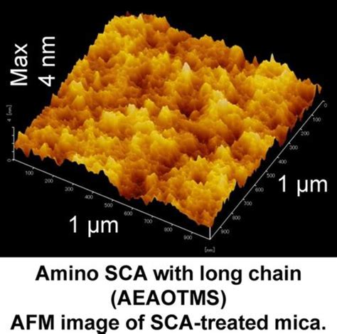 增加二氧化硅颗粒表面处理层中化学吸附的硅烷偶联剂 Journal Of Applied Polymer Science X Mol