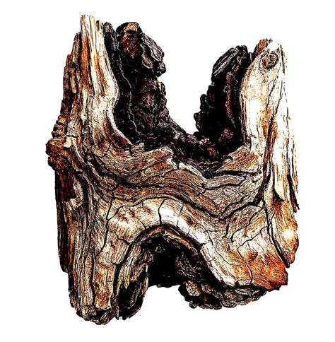 Rustic Hardwood Log Stack With Natural Texture Ideal For Carpentry Or